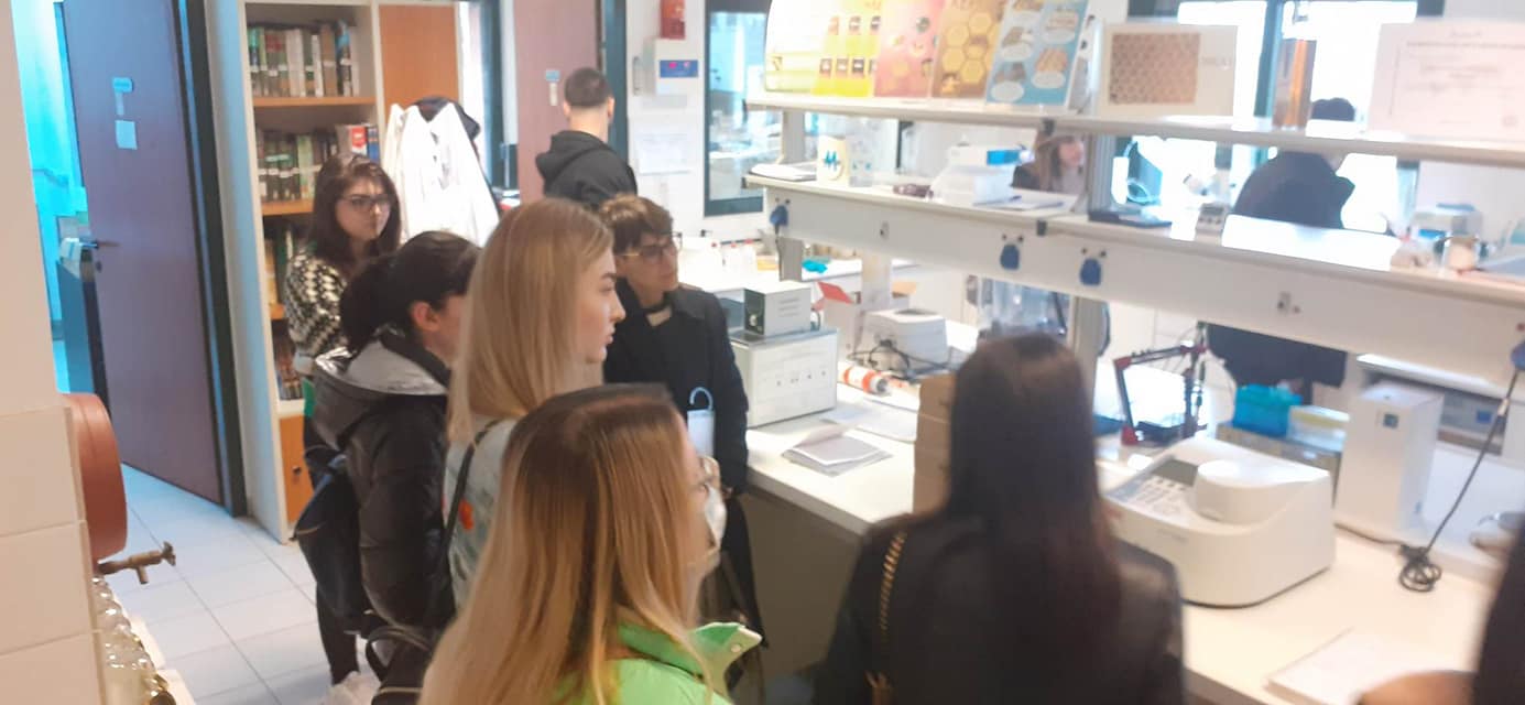 Εκπαιδευτική Επίσκεψη στο Εργαστήριο Μελισσοκομίας | Τμήμα Στέλεχος ...